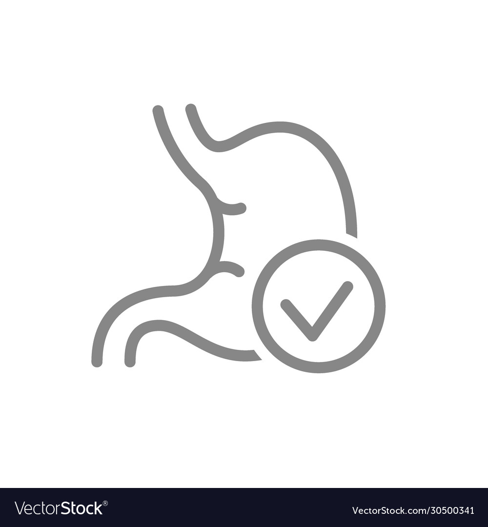 Stomach with tick checkmark line icon healthy Vector Image Stomach with tick checkmark line icon healthy Vector Image