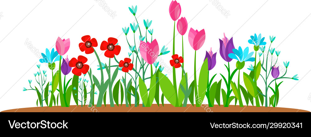 Summer and spring blossom forest and garden Vector Image