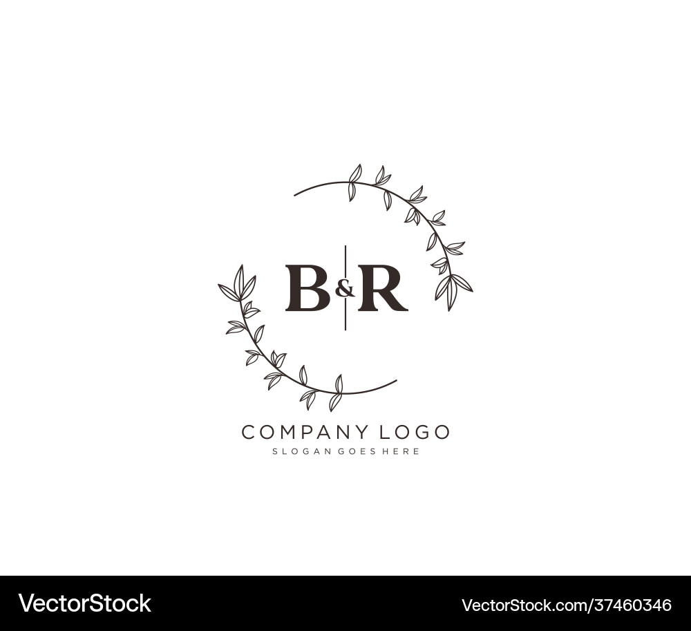 Initial br letters beautiful floral feminine Vector Image