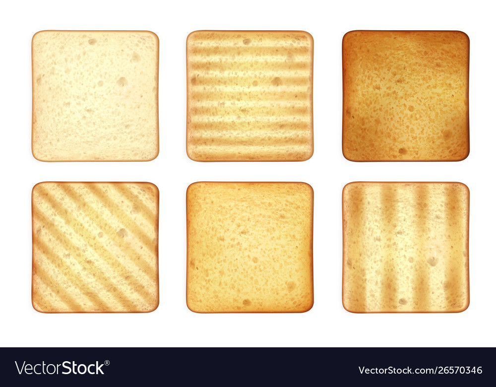 Roasted toasts bread set Royalty Free Vector Image