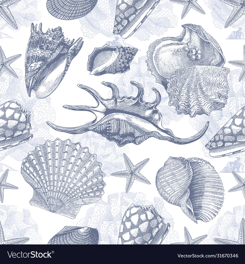 Sea shell pattern texture Royalty Free Vector Image