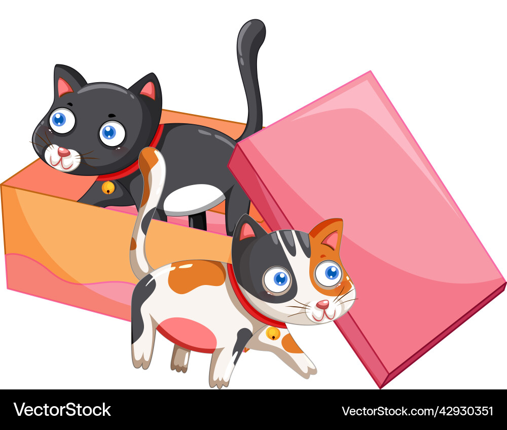 Cute cats in the cardboard box Royalty Free Vector Image