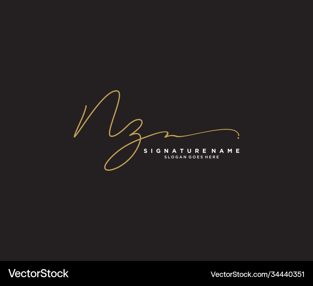 Letter nz signature logo template Royalty Free Vector Image