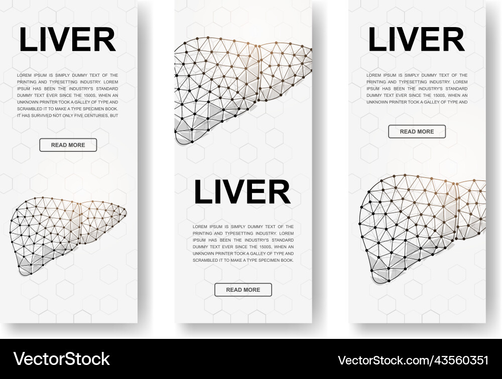 Set of three liver polygonal vertical banners 3d Vector Image