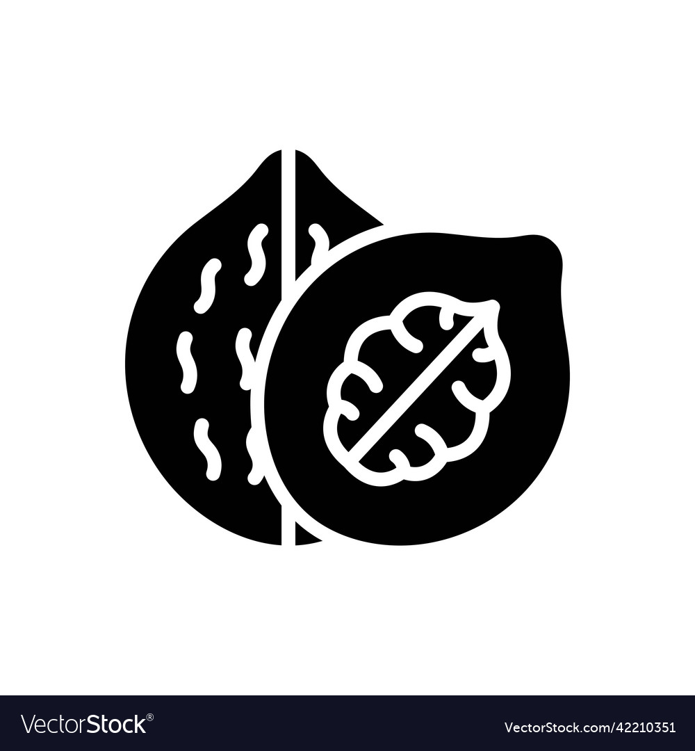 Walnut Royalty Free Vector Image - VectorStock