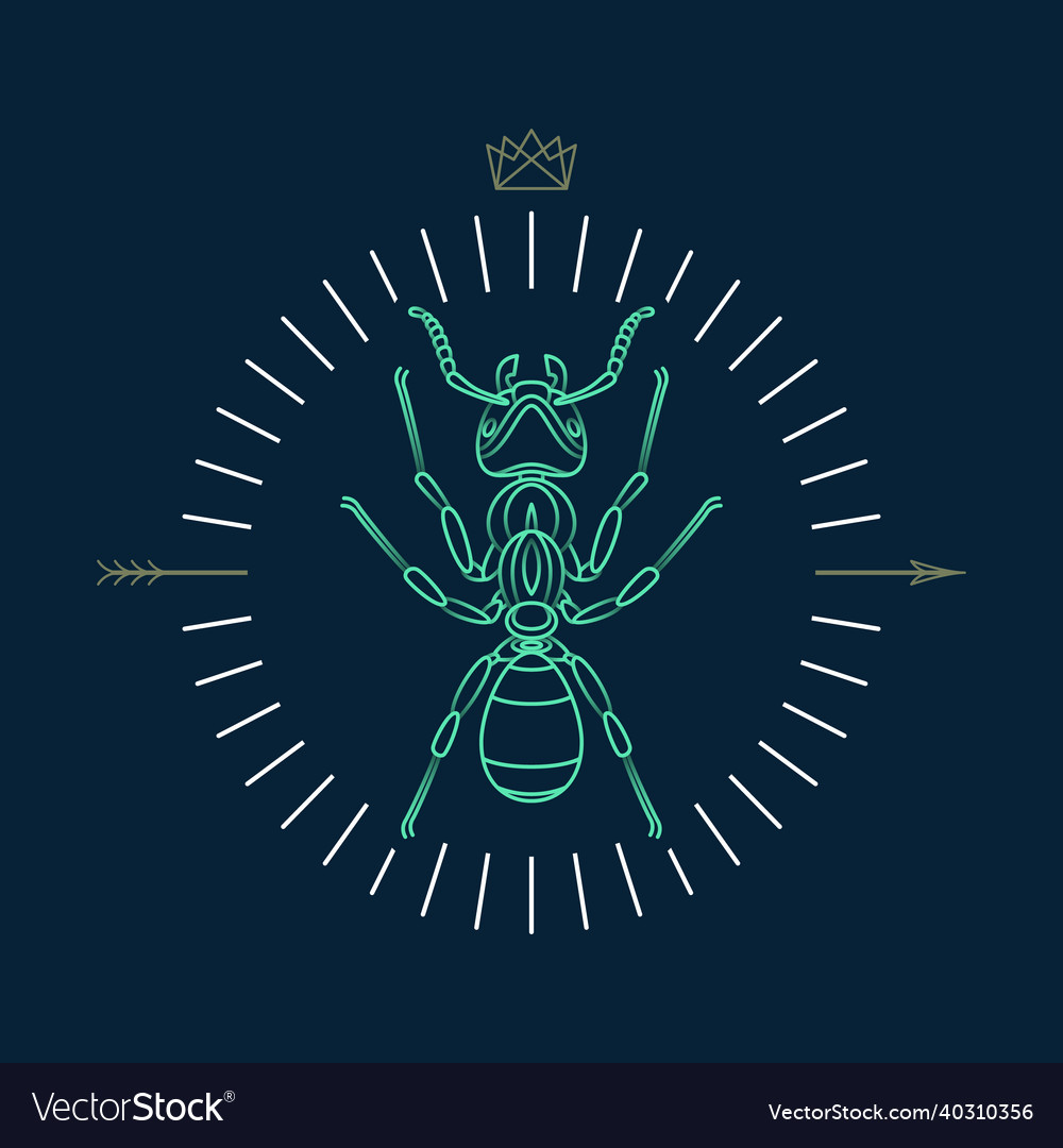 Abstract insects Royalty Free Vector Image - VectorStock