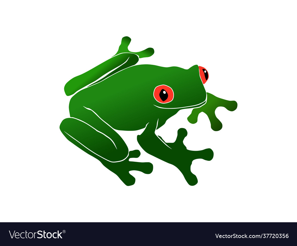 Tree frog Royalty Free Vector Image - VectorStock