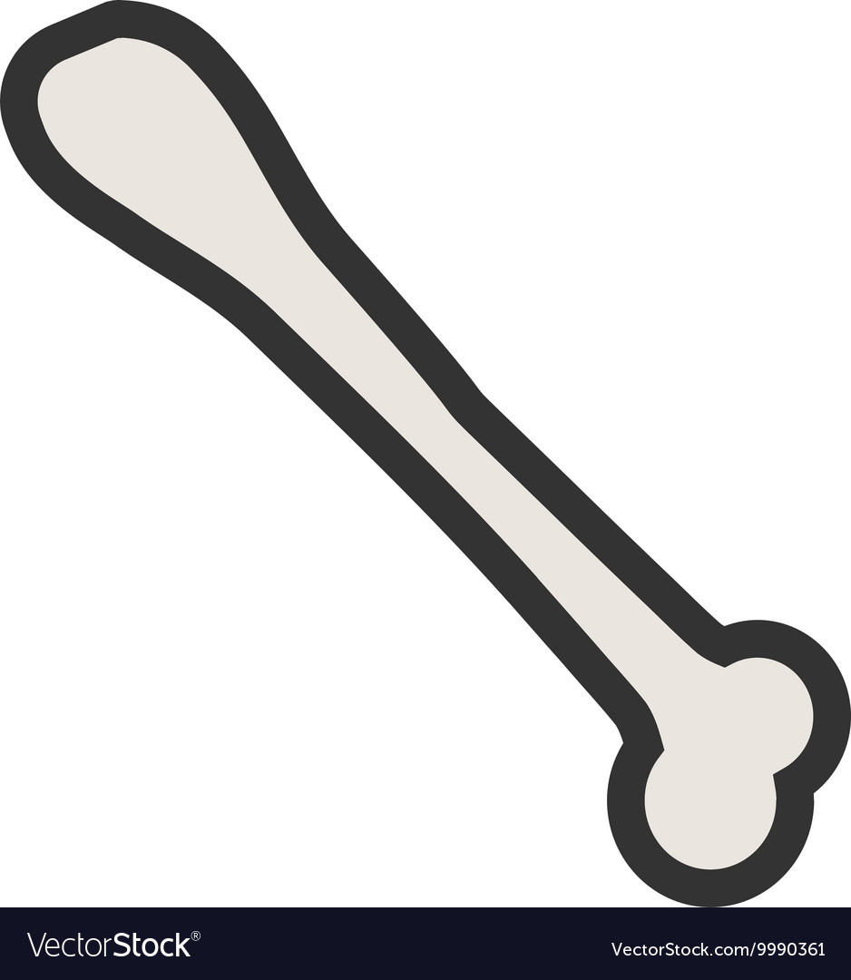 Human bone Royalty Free Vector Image - VectorStock