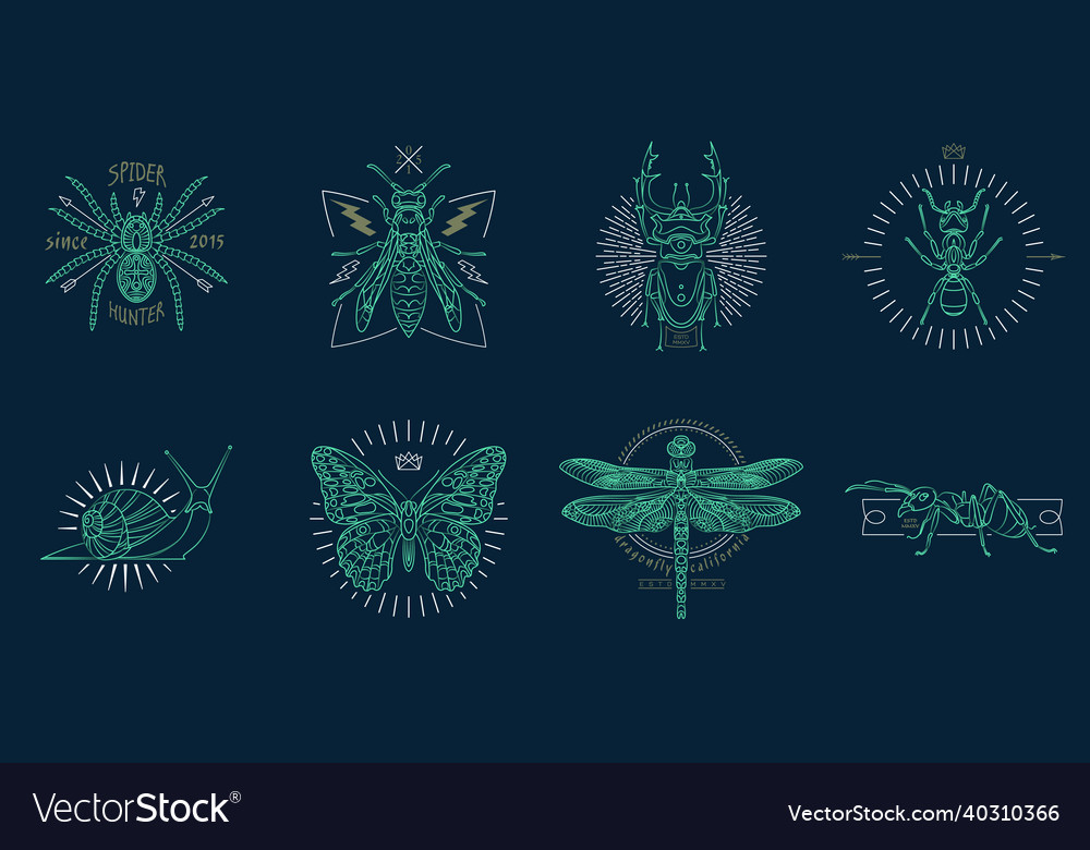 Abstract insects Royalty Free Vector Image - VectorStock