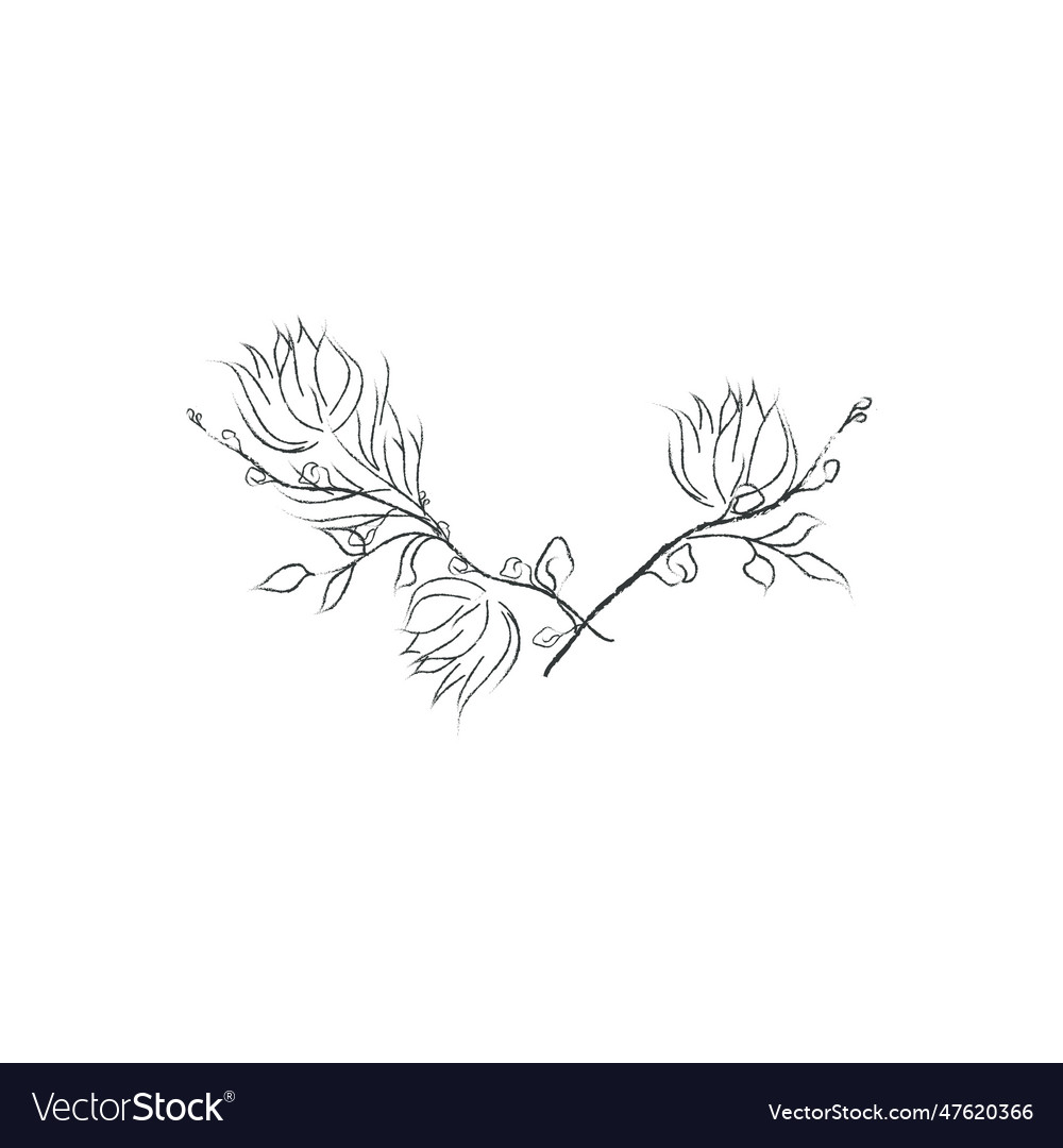Hand Drawn Orchid Flower Arrangement Floral Vector Image