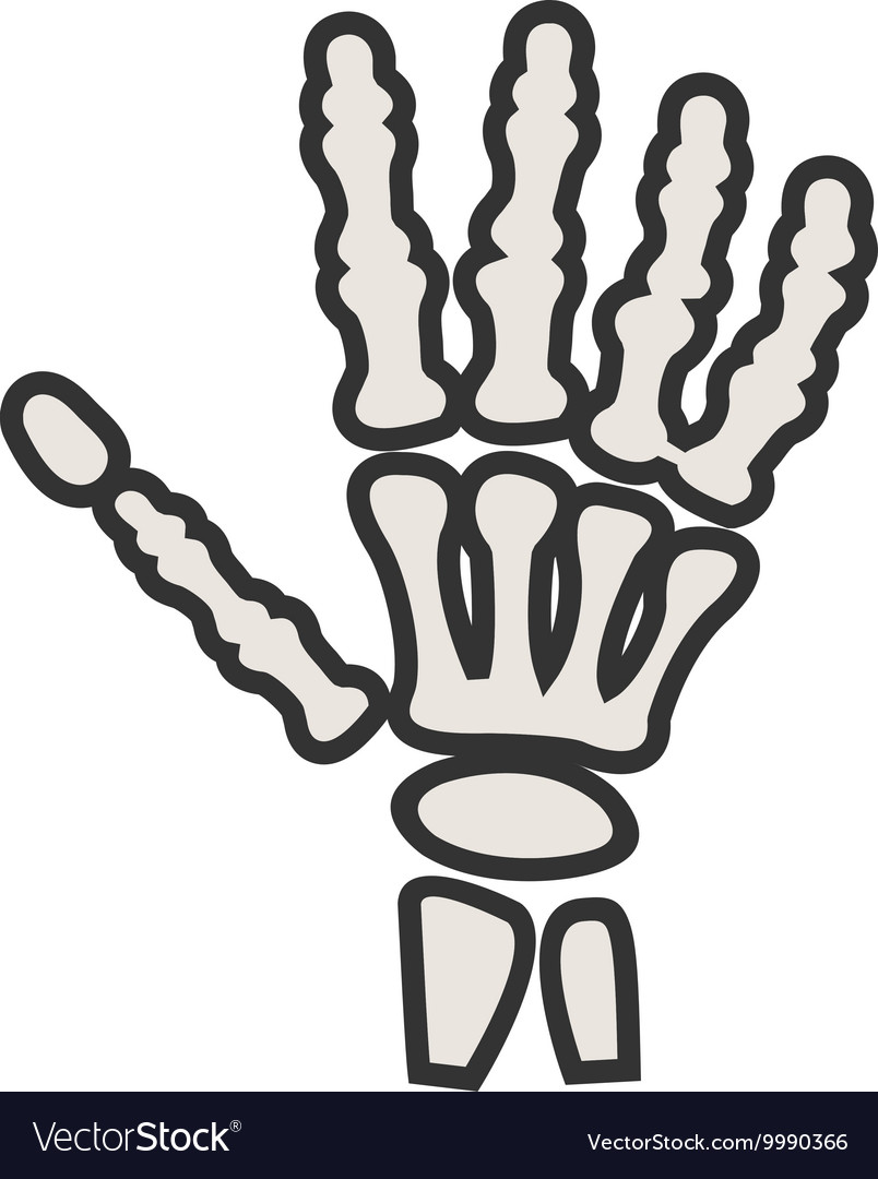 Hand Skeleton Royalty Free Vector Image - VectorStock