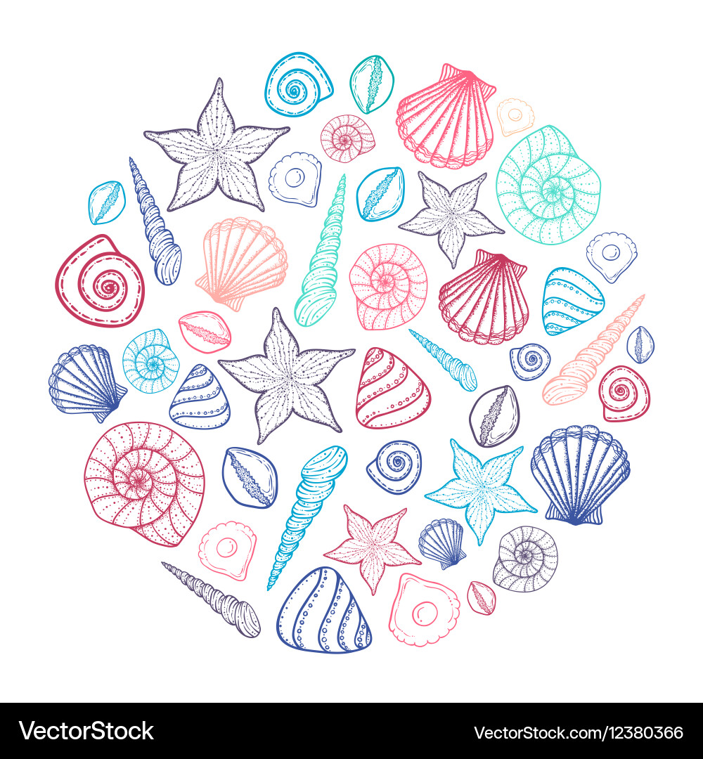 Poster with seashells and starfishes marine Vector Image