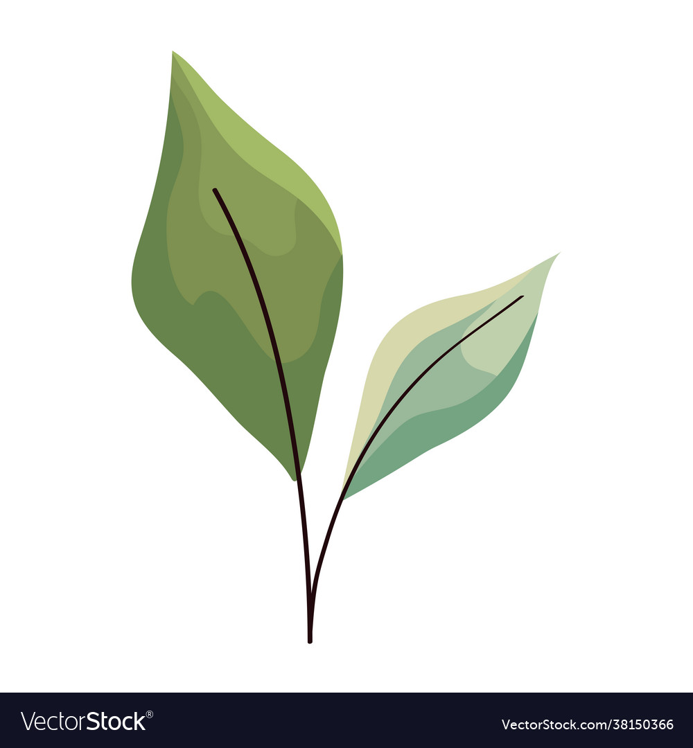 Two leaves icon Royalty Free Vector Image - VectorStock