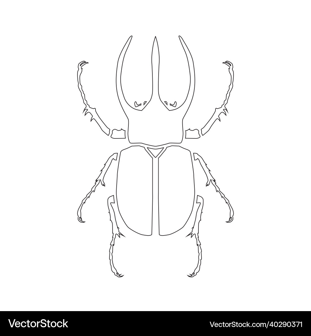Horned Beetle Insect