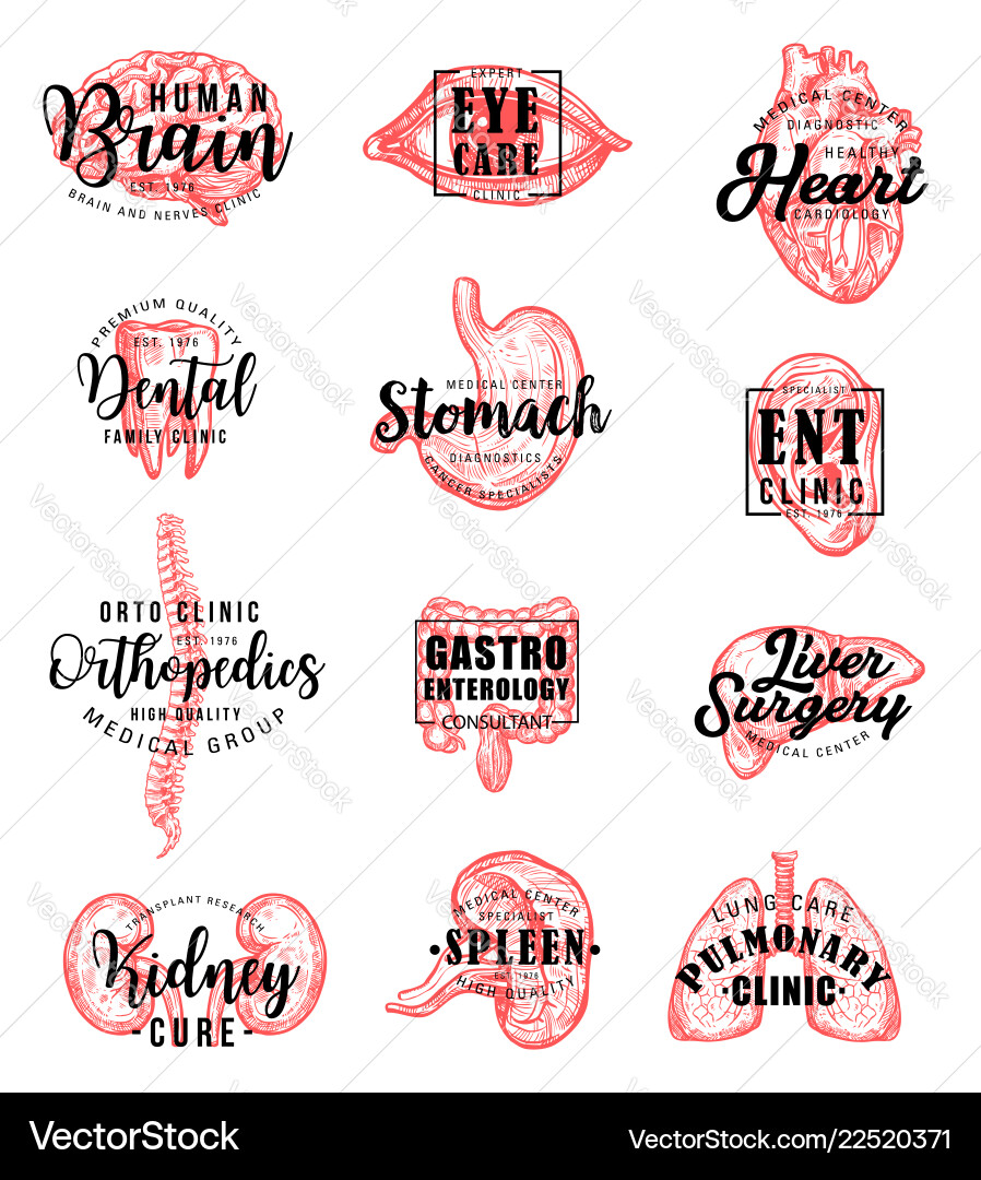 Human organs and bones sketch lettering Royalty Free Vector