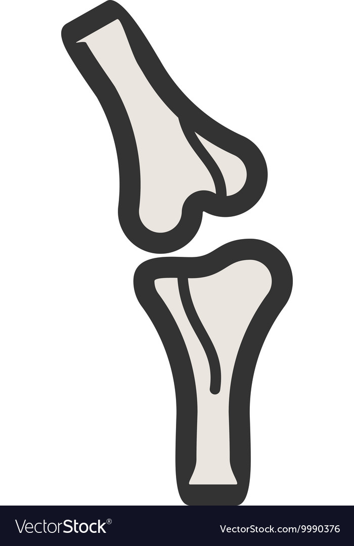 Joint Royalty Free Vector Image - VectorStock