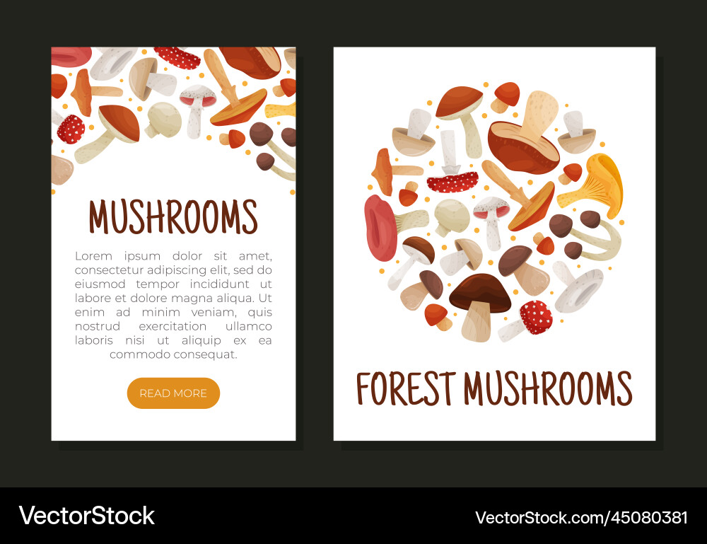 Mushroom banner design with edible agaric forest Vector Image