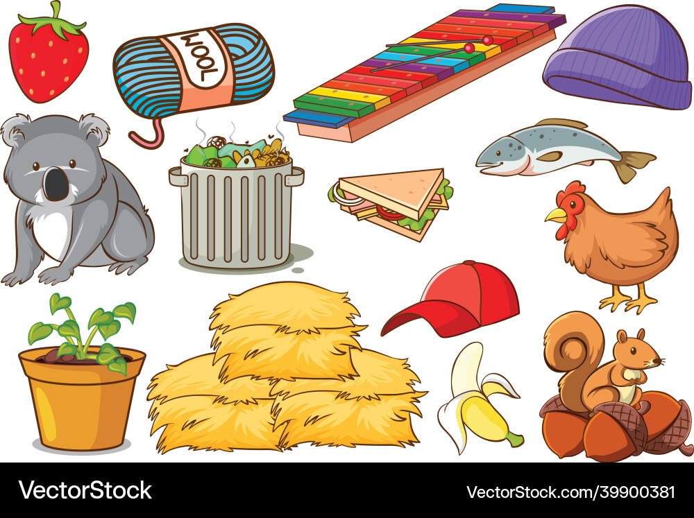 Set of various animals and objects Royalty Free Vector Image