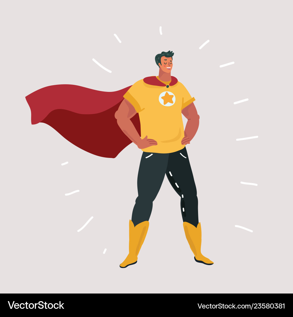 Superhero character cartoon Royalty Free Vector Image