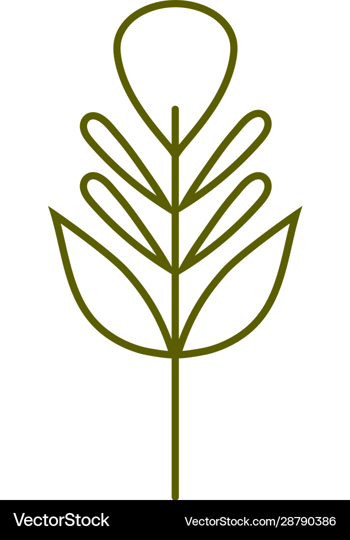Branch foliage plant line style Royalty Free Vector Image