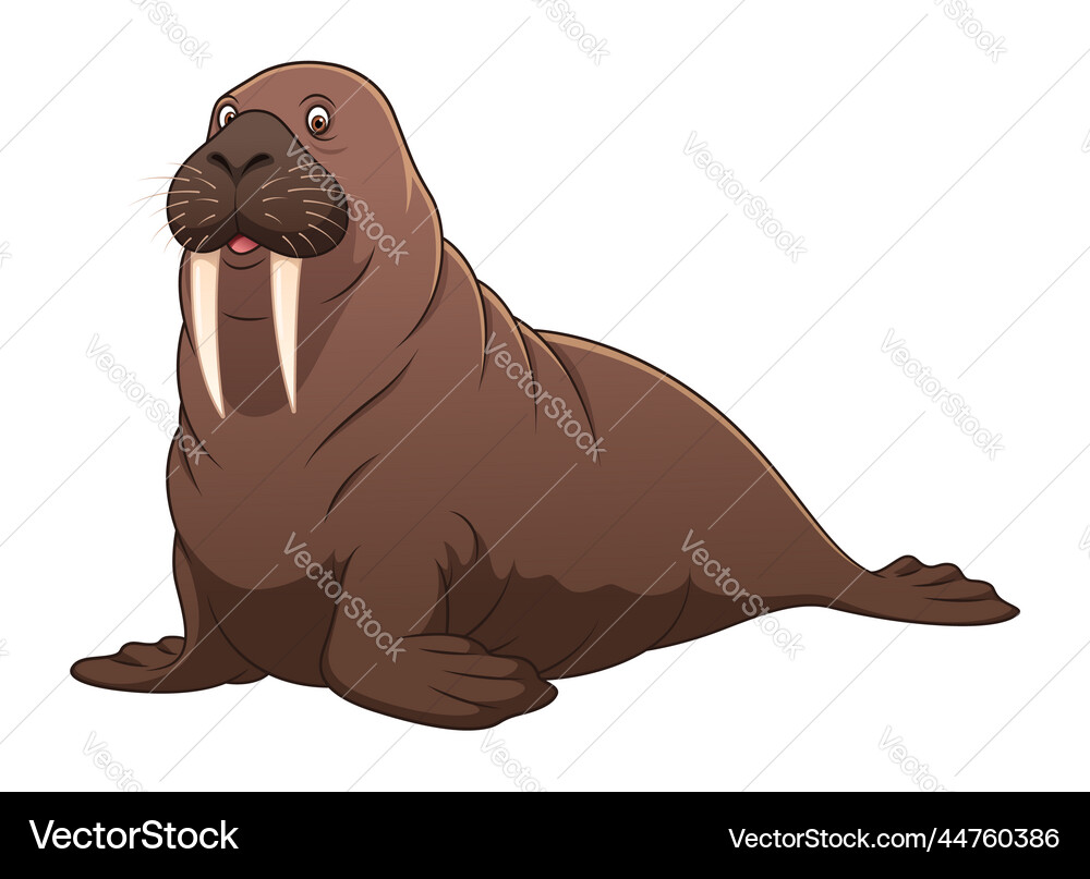 Walrus cartoon animal Royalty Free Vector Image