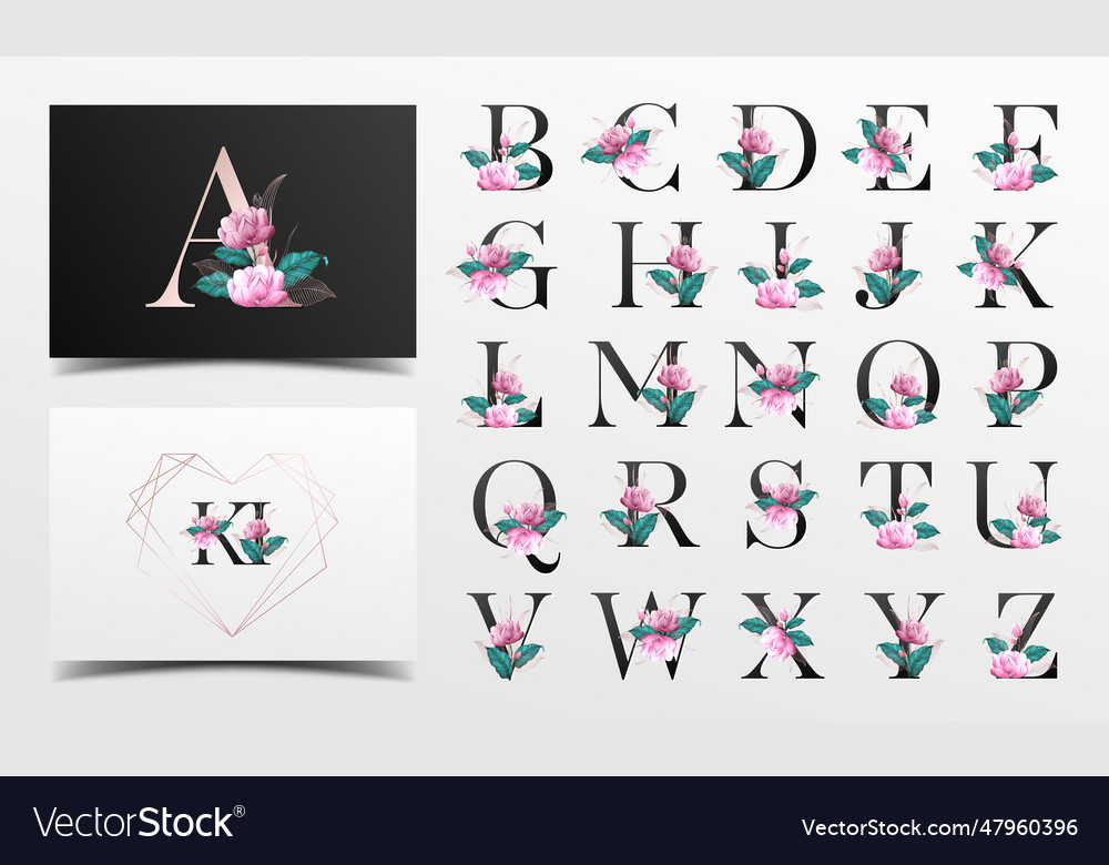 Beautiful alphabet collection Royalty Free Vector Image