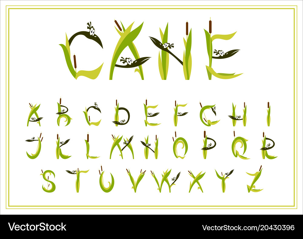 Set of decorative alphabet reed Royalty Free Vector Image