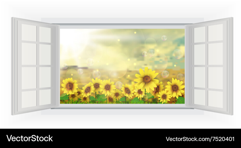 Open windows summer sun over the sunflower field Vector Image