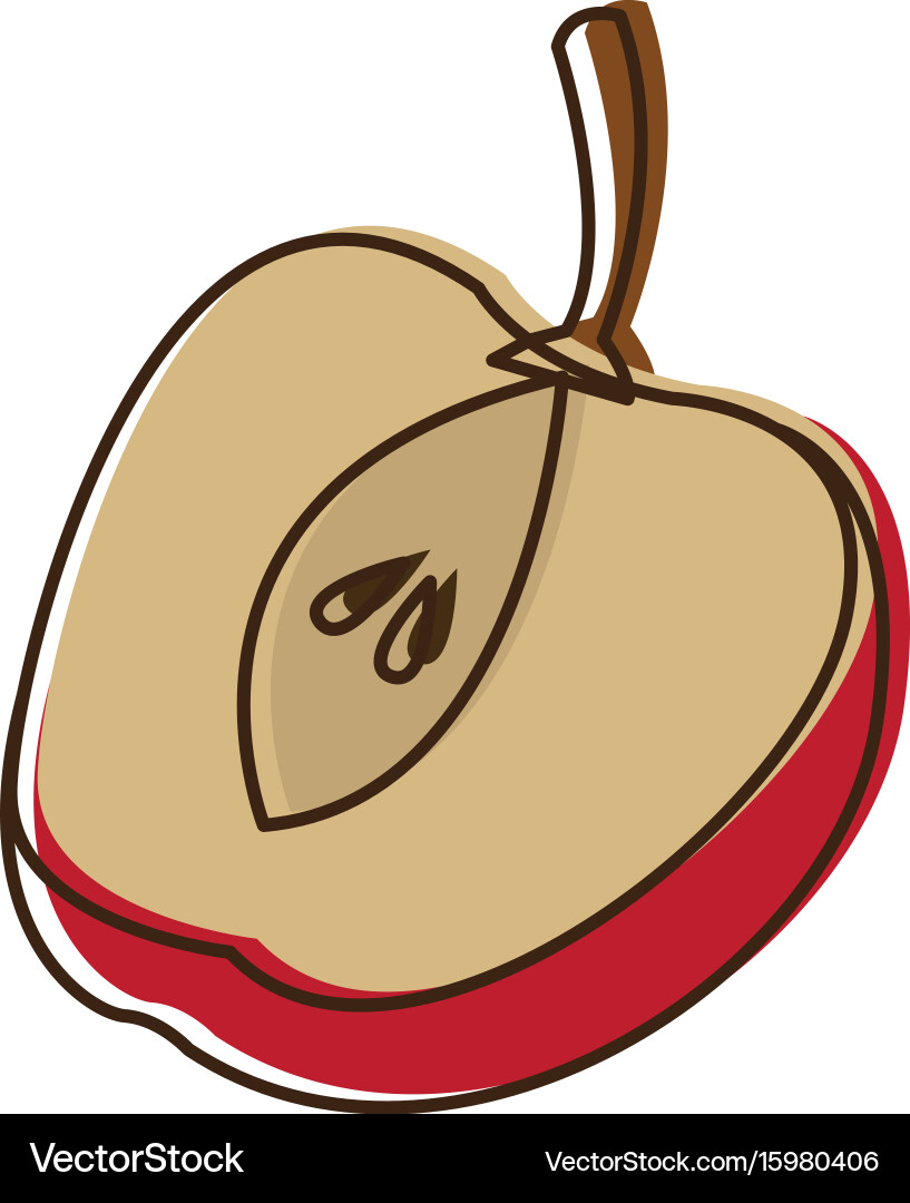 Apple slice fruit healthy food nutrition Vector Image