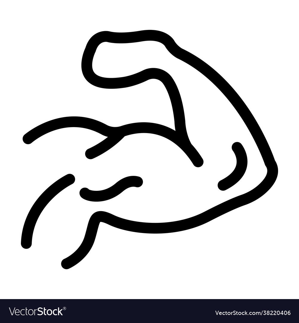 Bicep Royalty Free Vector Image - VectorStock
