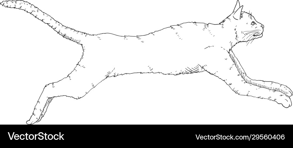 Running cat black sketch feline Royalty Free Vector Image