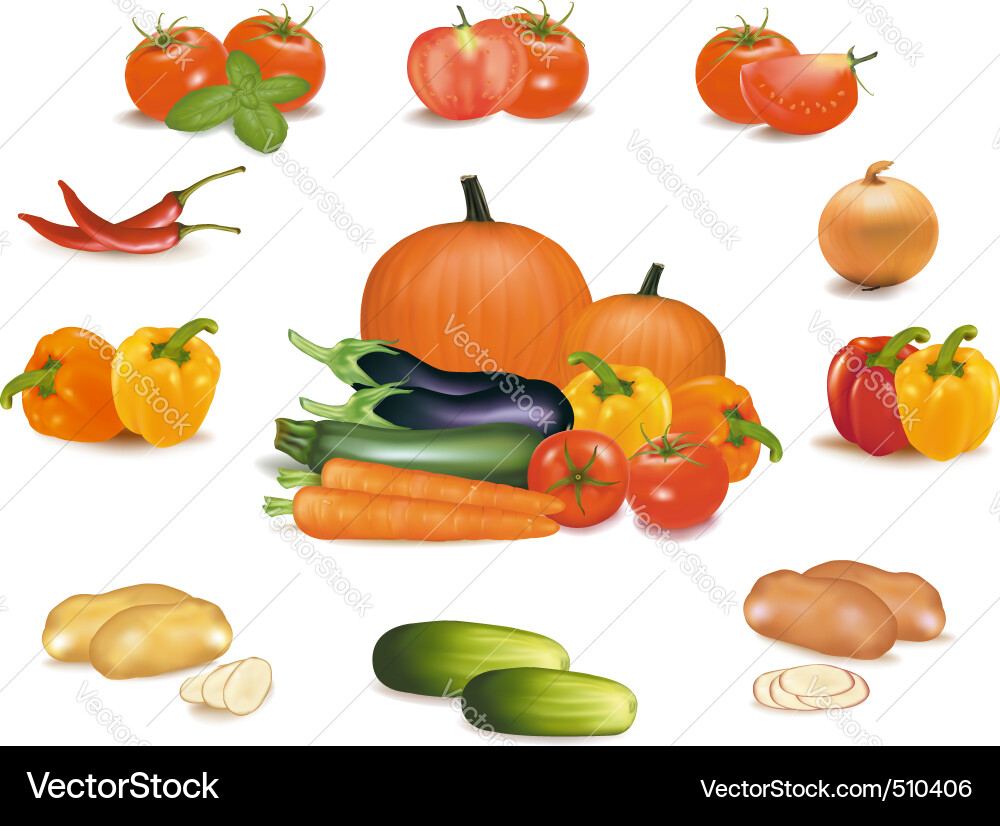 Super group some vegetables Royalty Free Vector Image