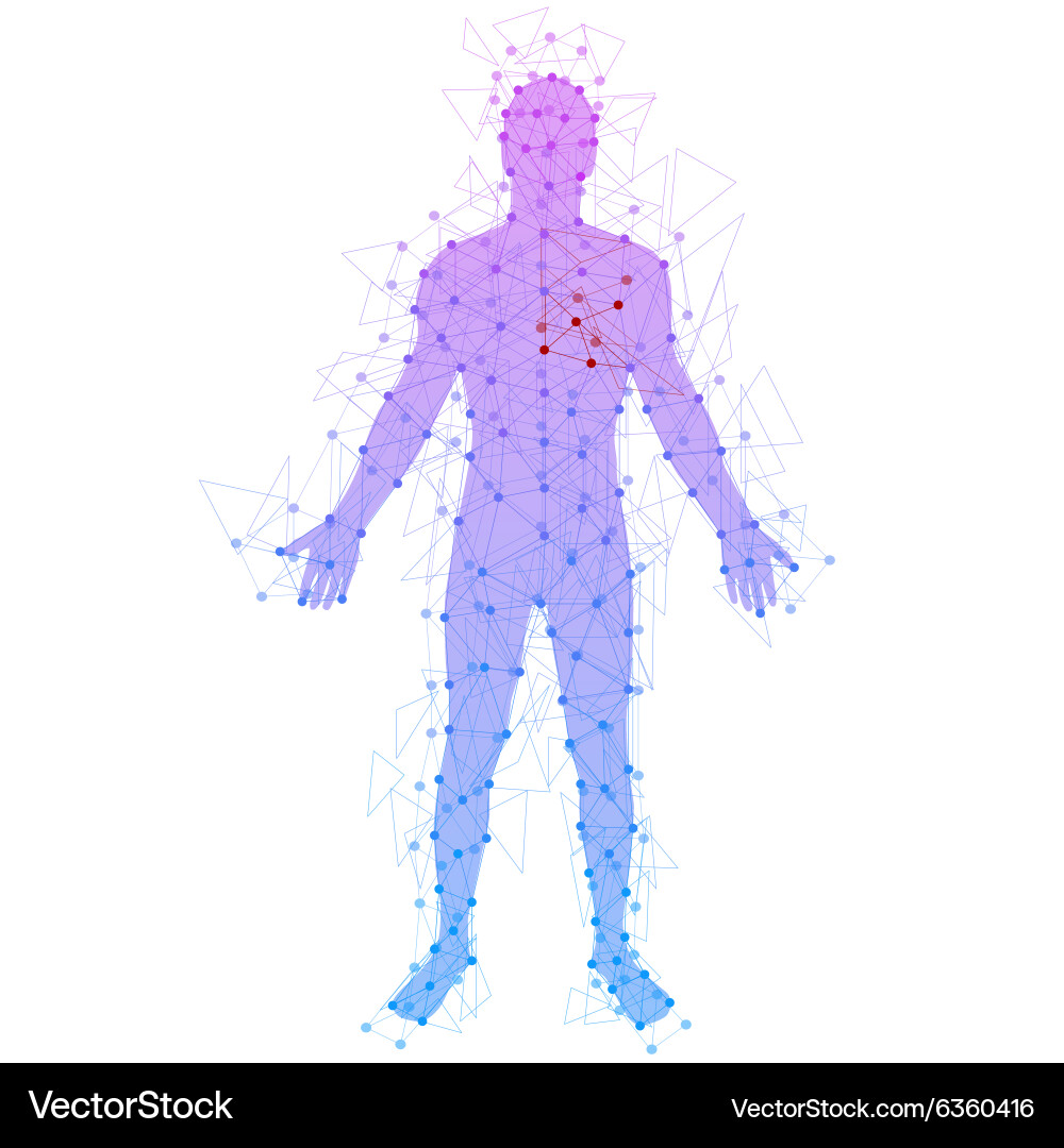 Abstract model of man with points and lines Vector Image