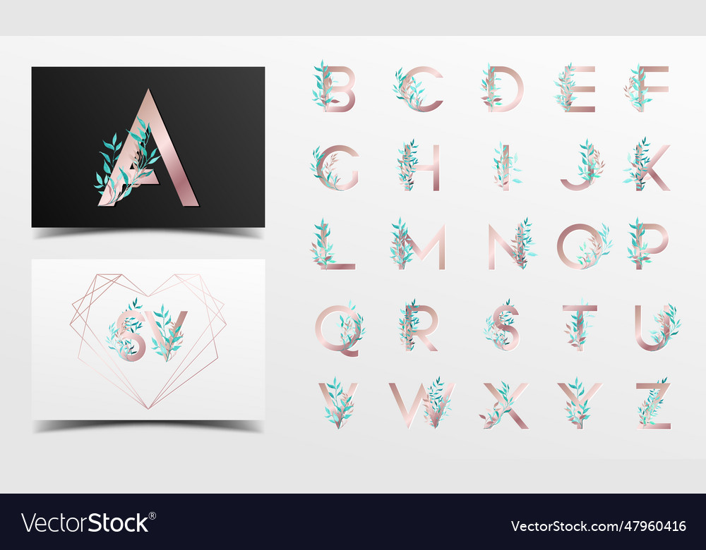 Beautiful alphabet collection Royalty Free Vector Image