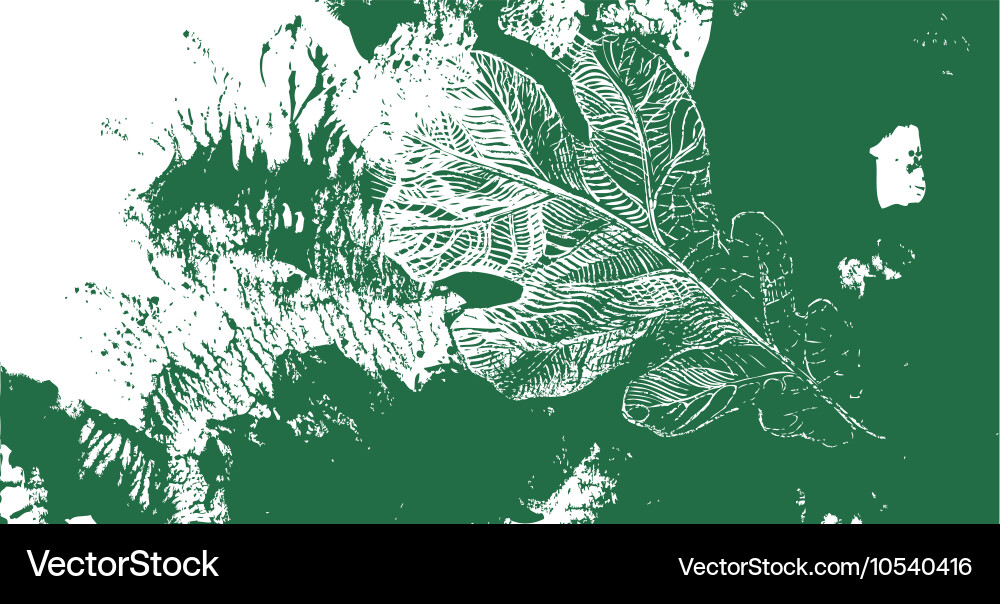 Leaf of oak tree Autumn defoliation Royalty Free Vector