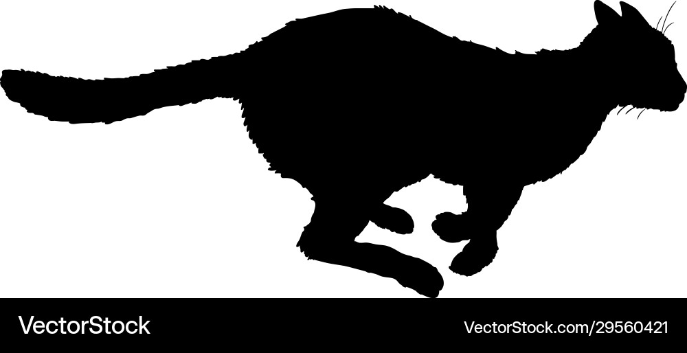 Running cat silhouette black feline logo Vector Image