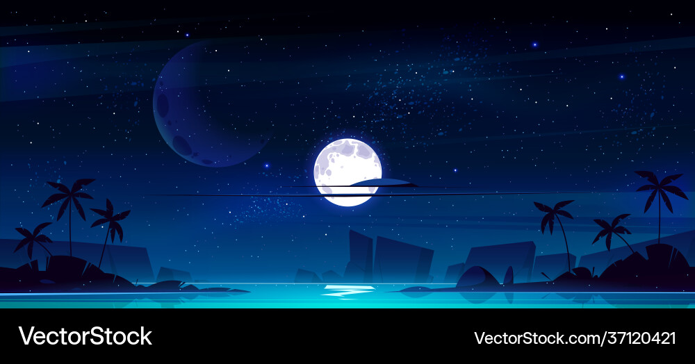 Tropical landscape with sea bay at night Vector Image