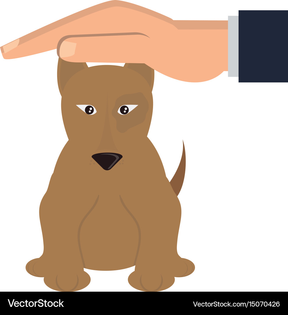 Hand with sick pet dog care design Royalty Free Vector Image