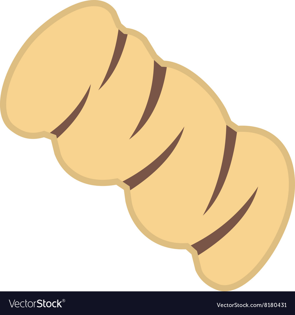 Braided bread Royalty Free Vector Image - VectorStock