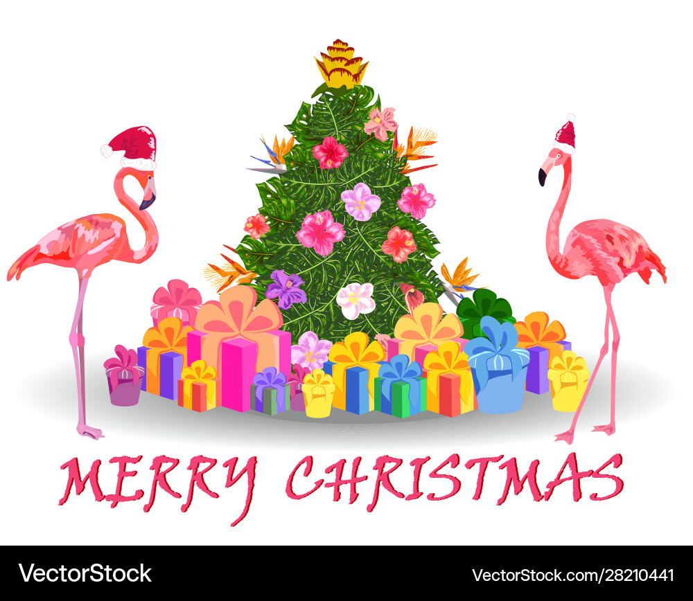 Christmas tree made tropical monstera leaves Vector Image