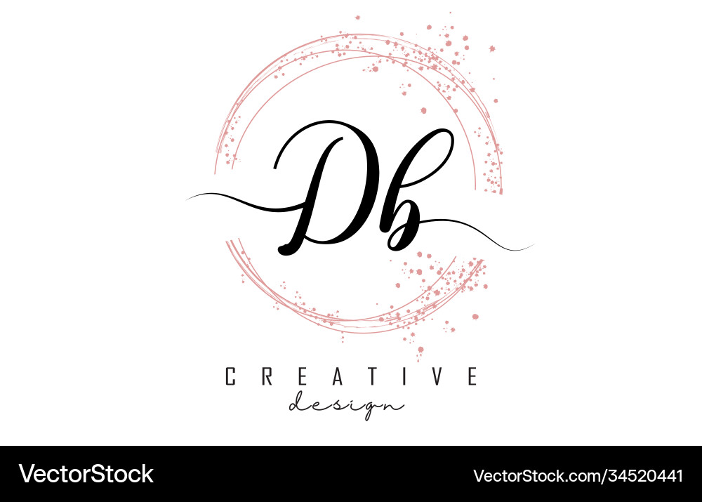 Handwritten db d b letter logo with sparkling Vector Image