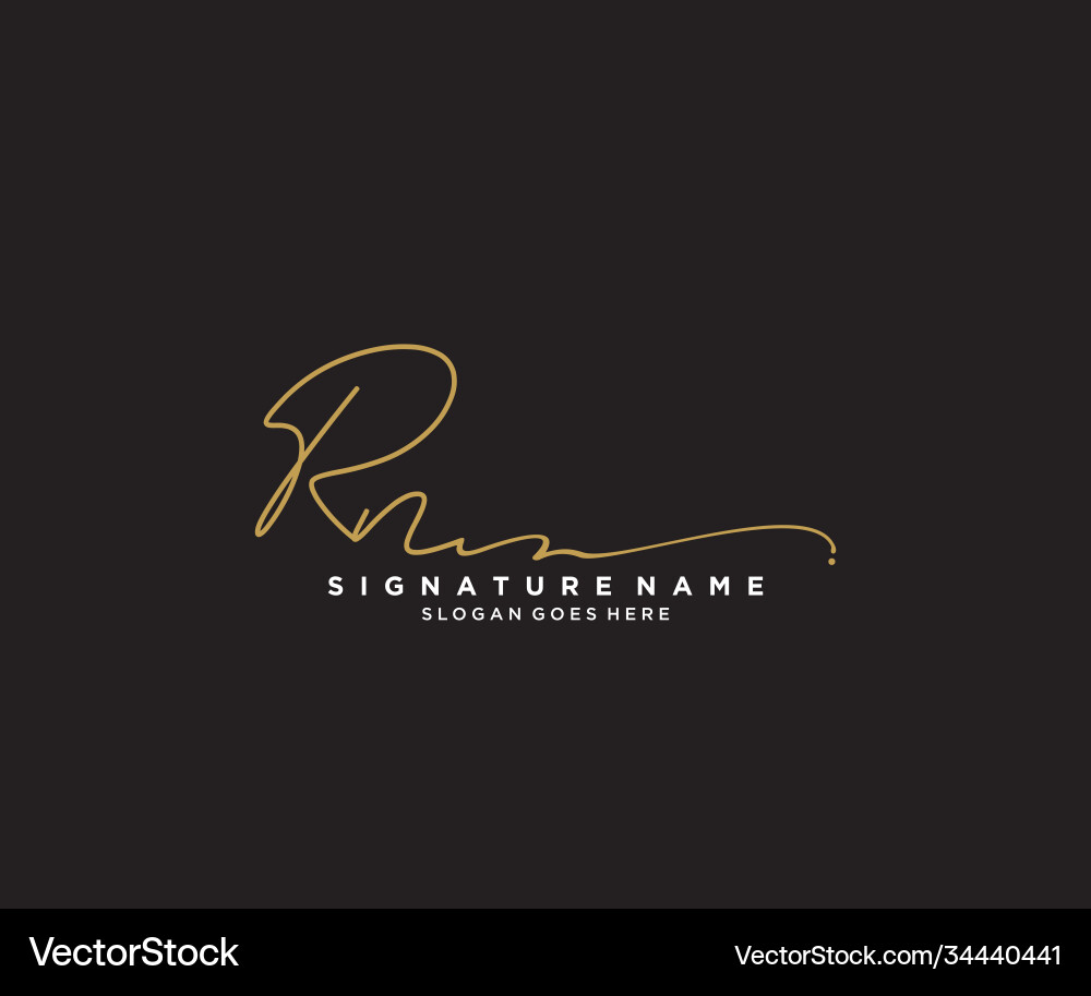 Letter rn signature logo template Royalty Free Vector Image