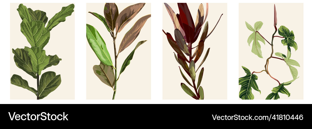 Botanical wall art background set tropical poster Vector Image