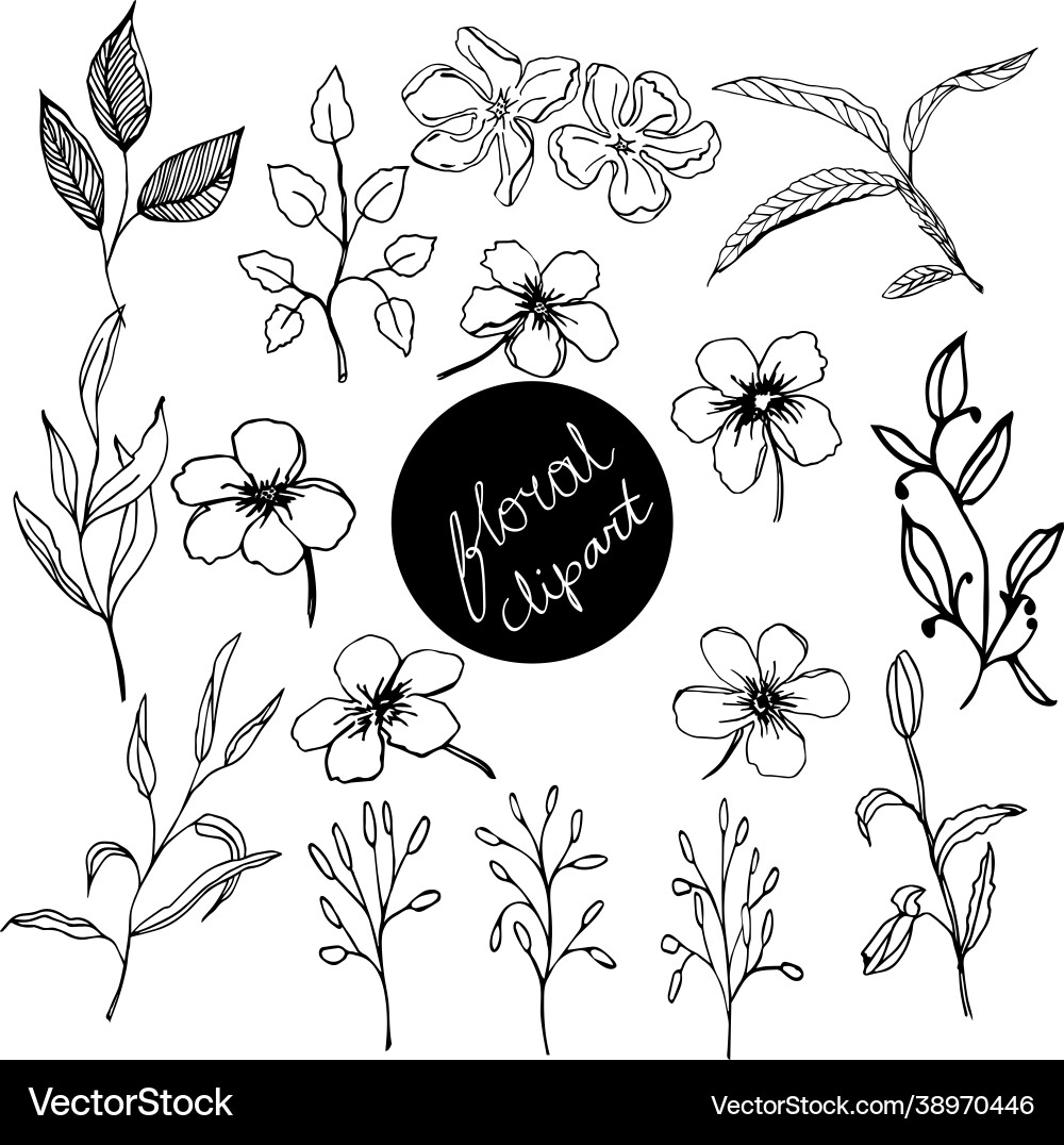 Floral doodle elements hand drawn for logo Vector Image