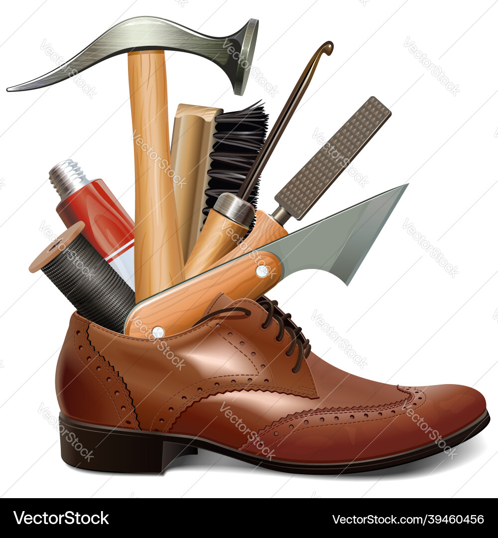 Male brown shoe with cobbler tools Royalty Free Vector Image