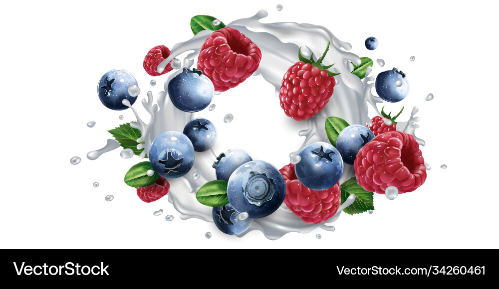 Blueberries and raspberries a splash milk Vector Image