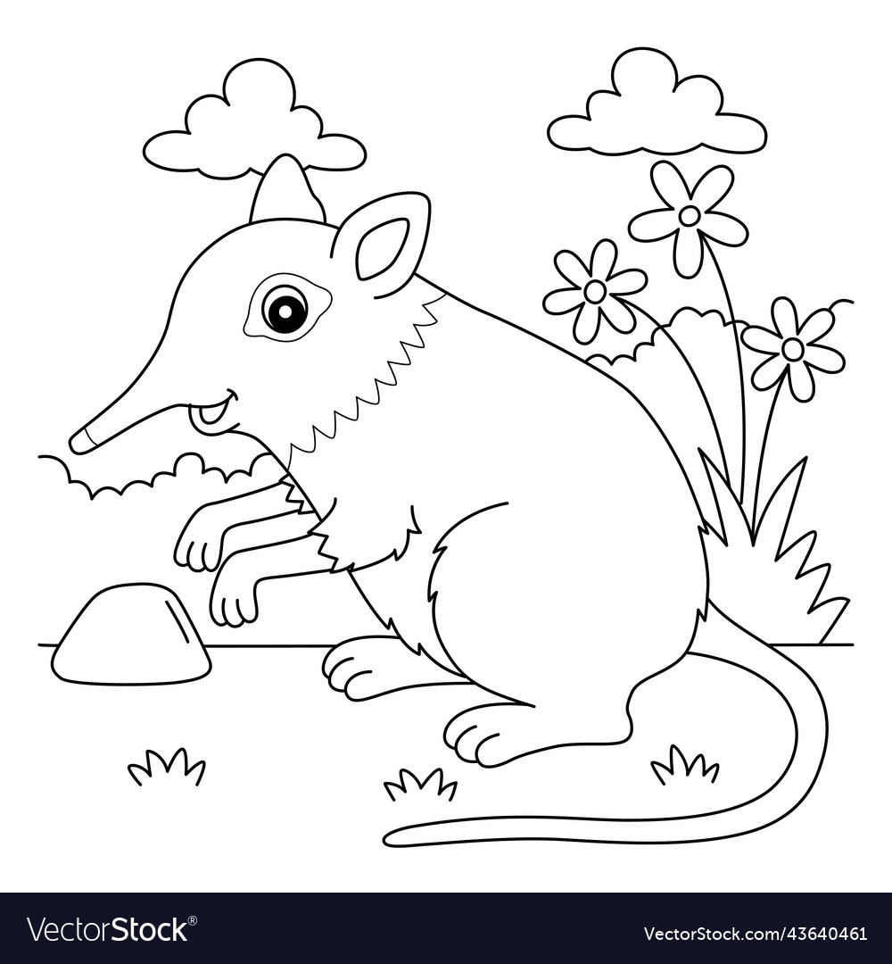 Elephant shrew animal coloring page for kids Vector Image