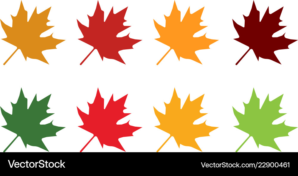 Mapple leaves logo and symbol Royalty Free Vector Image