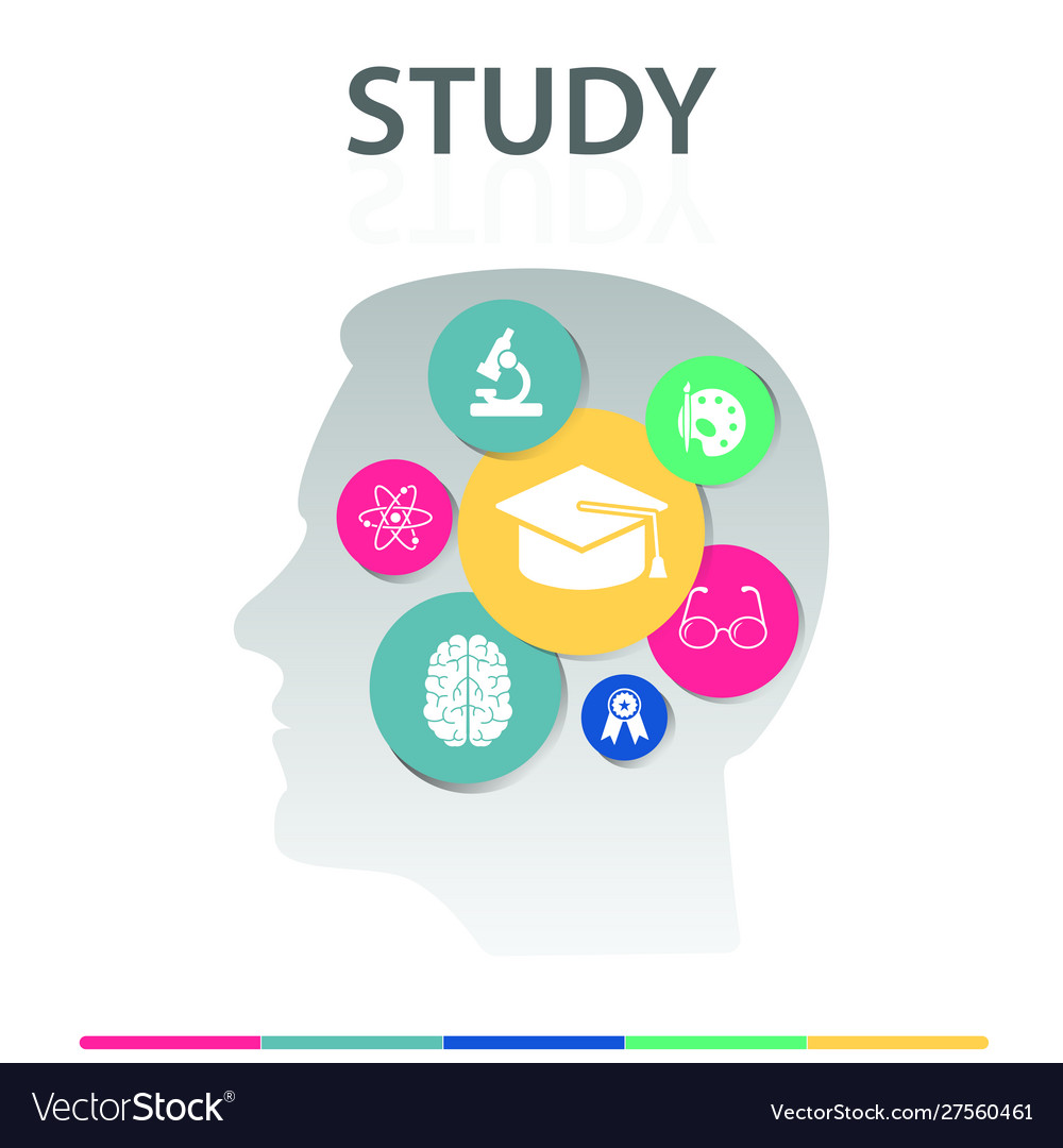 Study infographics design timeline concept Vector Image