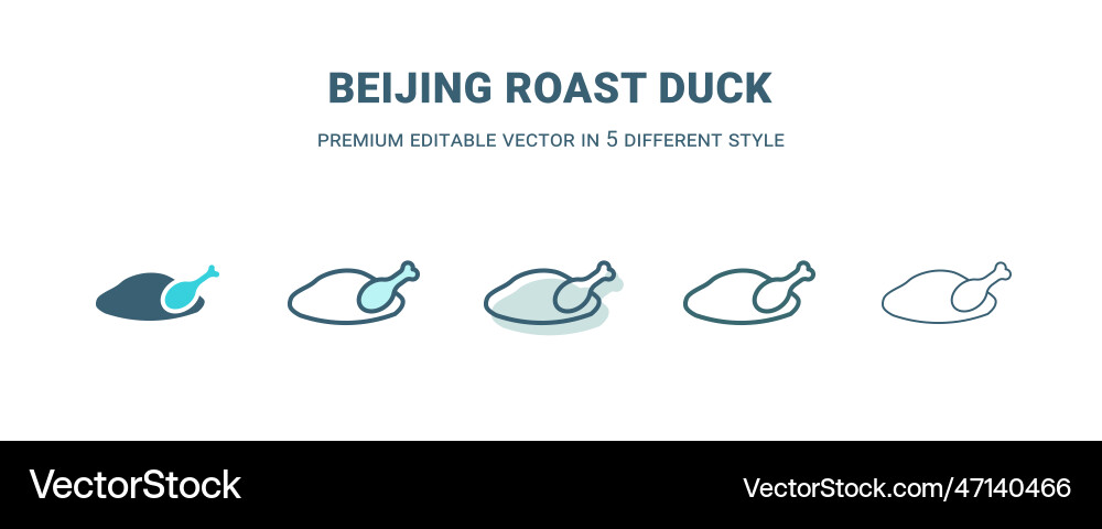 Beijing roast duck icon in 5 different style Vector Image